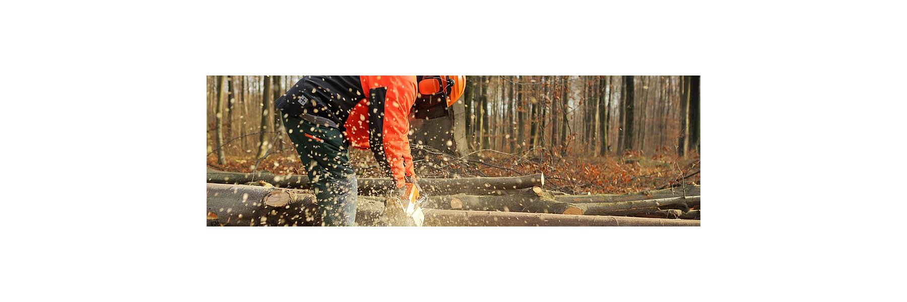 Qualitäts Schmierstoffe von Divinol, Agip/Eni und Motul